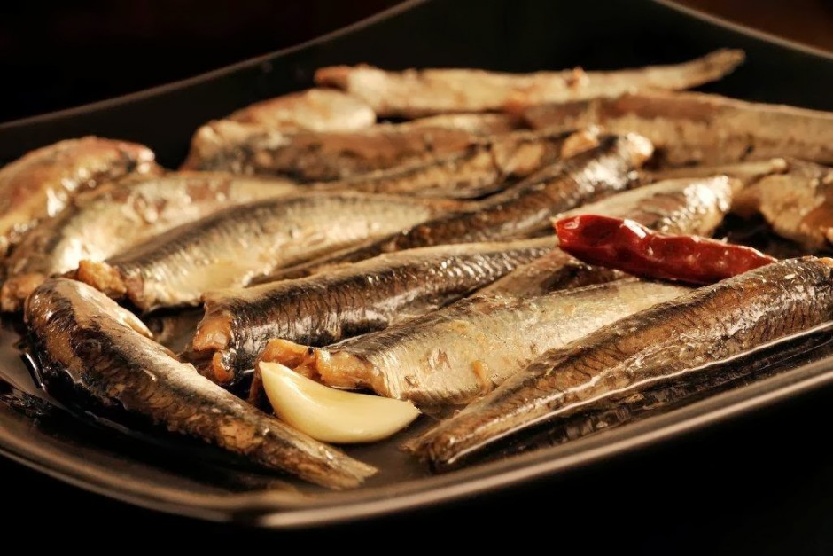 Basque Anchovies season starts in March - Blog de Conservas Olasagasti